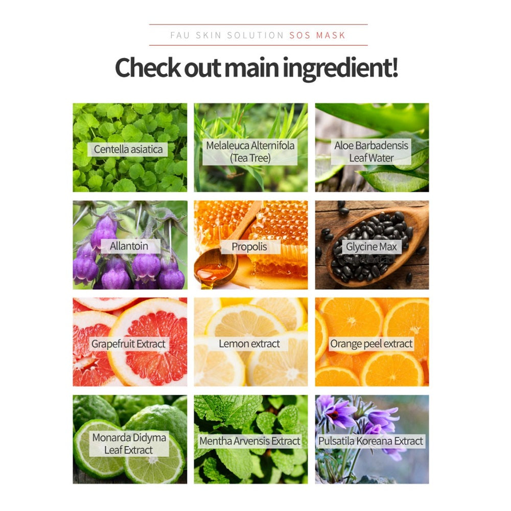 Skin Solution SOS Mask - FAU | Kosmetiks – Maison De 05